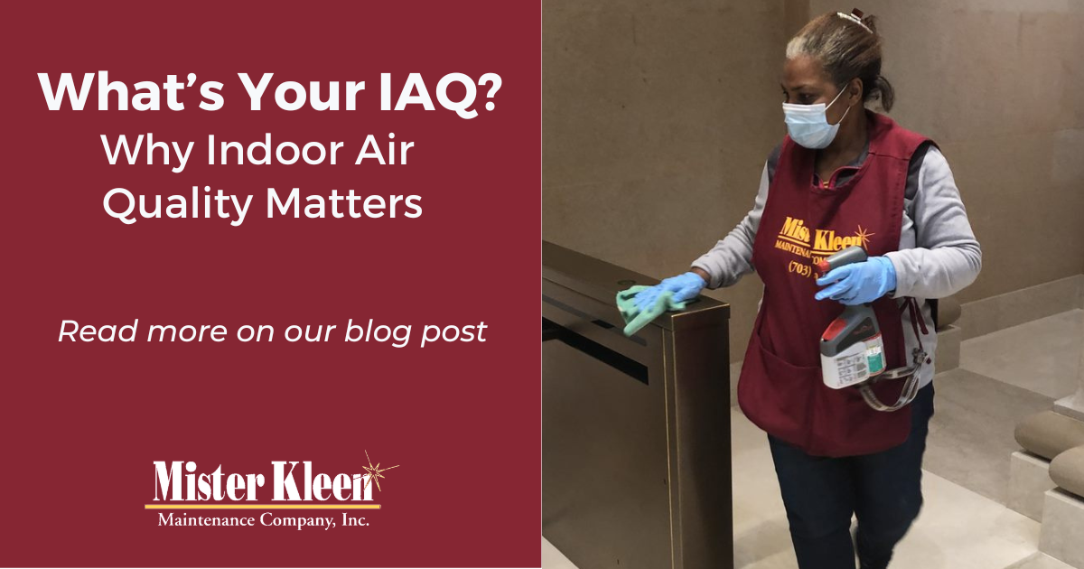 What’s Your IAQ? Why Indoor Air Quality Matters | Mister Kleen