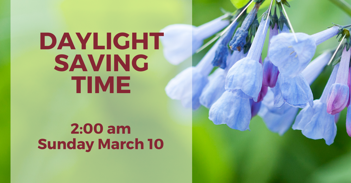 How to Prepare for Daylight Saving Time